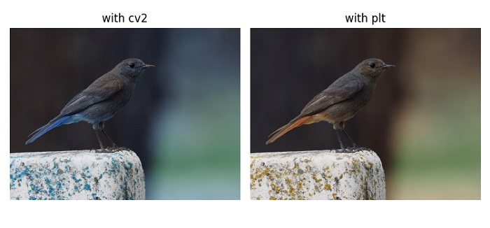Matplotlib 中的 plt.show 和 cv2.imshow 有什么区别? | w3schools 教程