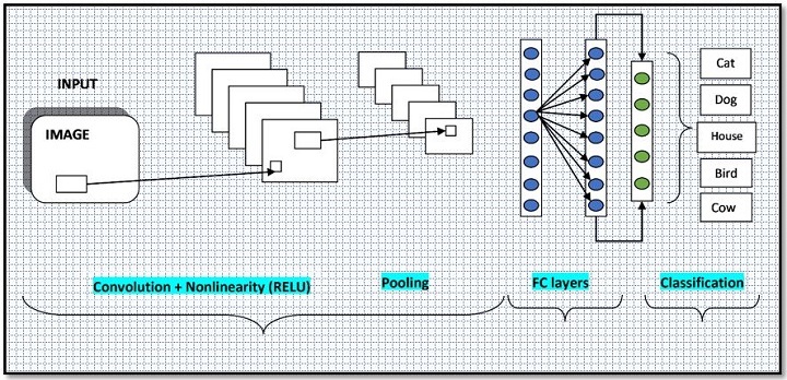 使用 CNN 进行图像分类的初学者指南(Python 实现) | w3schools 中文网